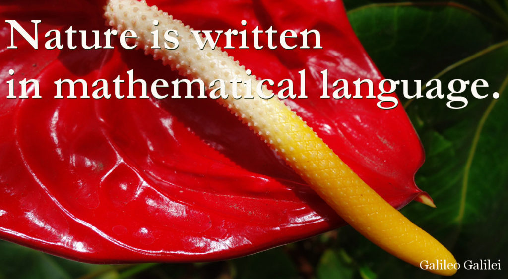 25 Most Notable and Wise Quotes about Mathematics