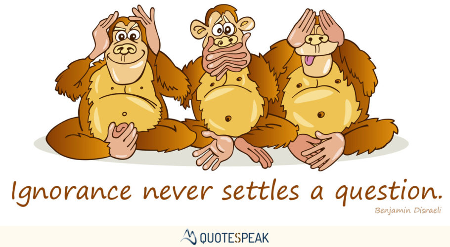 Knowledge, Ignorance and Stupidity - 50 Wise & Profound Quotes