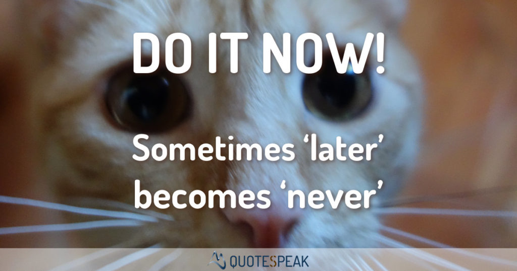 Top 30 Quotes about the Best Use of Your Time | Quotespeak