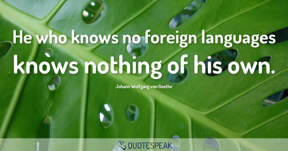 50 of the Best Quotes to Learn a Foreign Language | Page 3 of 5 ...